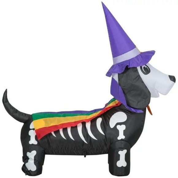 No brand / Not sure | Holiday | Rainbow Witch Dog Halloween Airblown ...